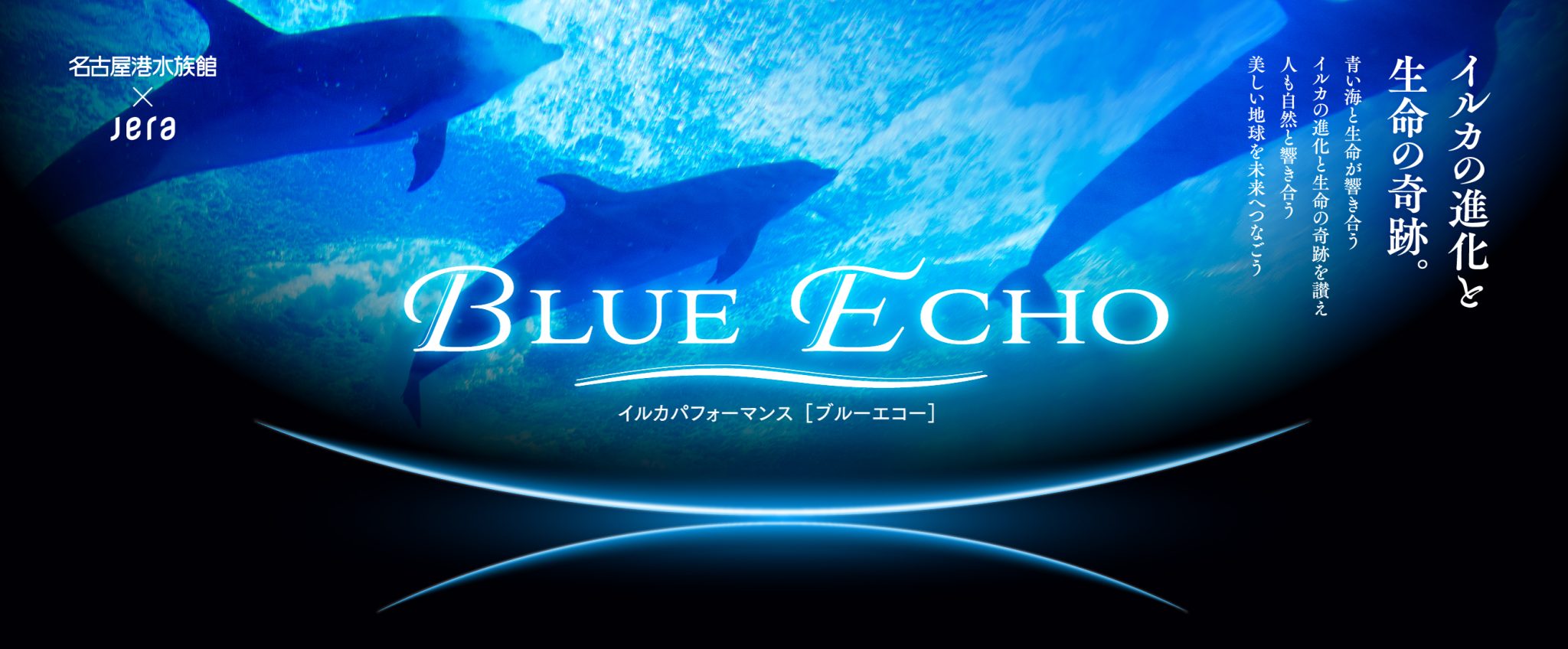 今春、「イルカパフォーマンス BLUE ECHO」 に新しく生まれ変わります！｜名古屋港水族館ホームページ